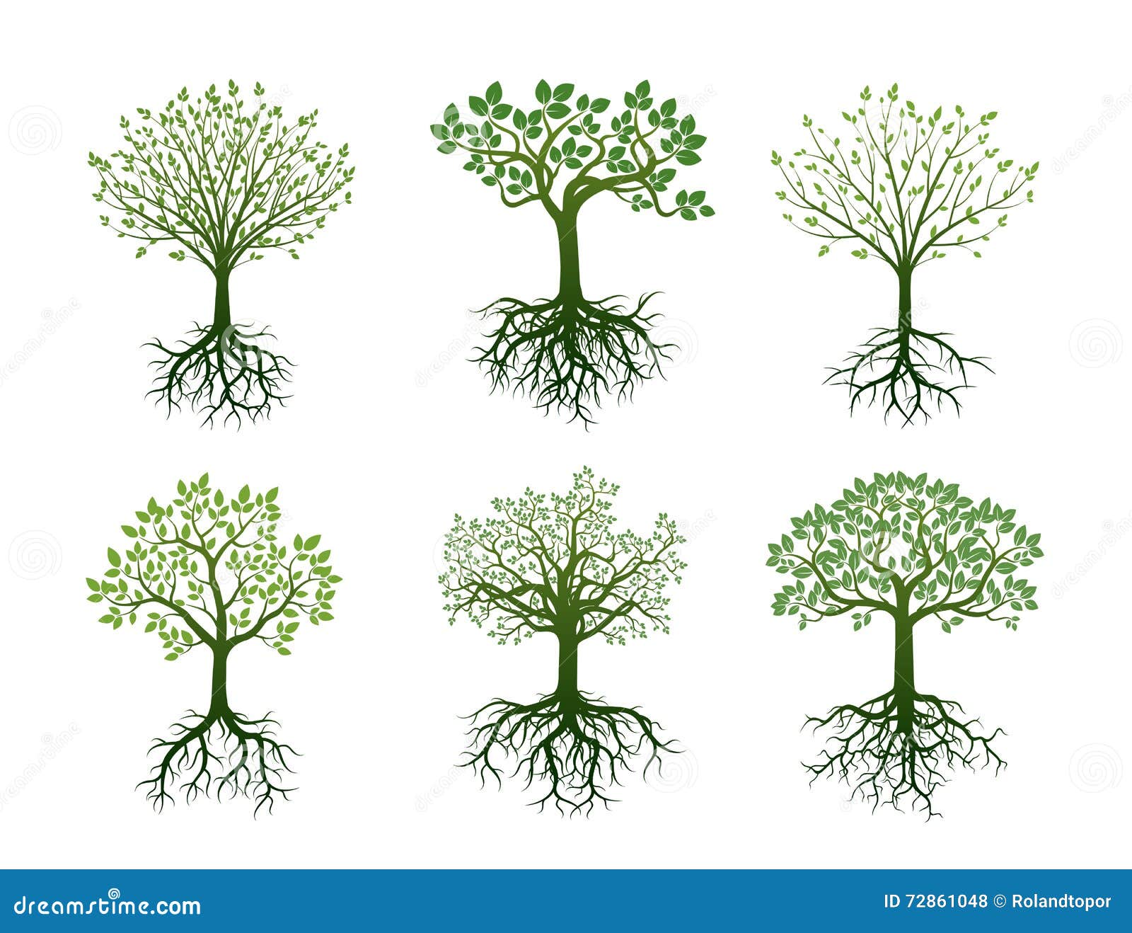 Shape of Trees, Roots and Leafs. Vector Illustration. Stock ...