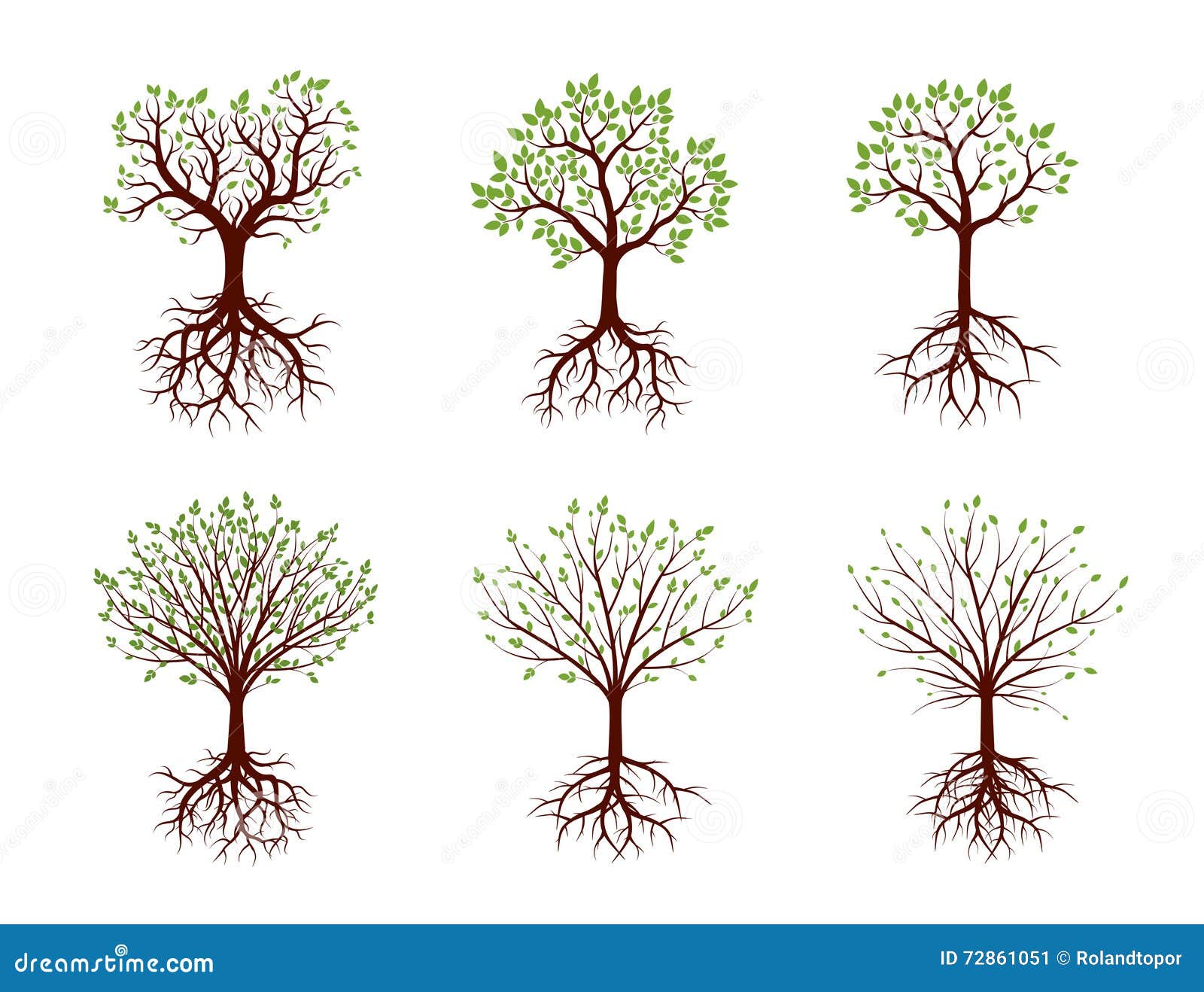 Shape of Trees, Roots and Leafs. Vector Illustration. Stock ...