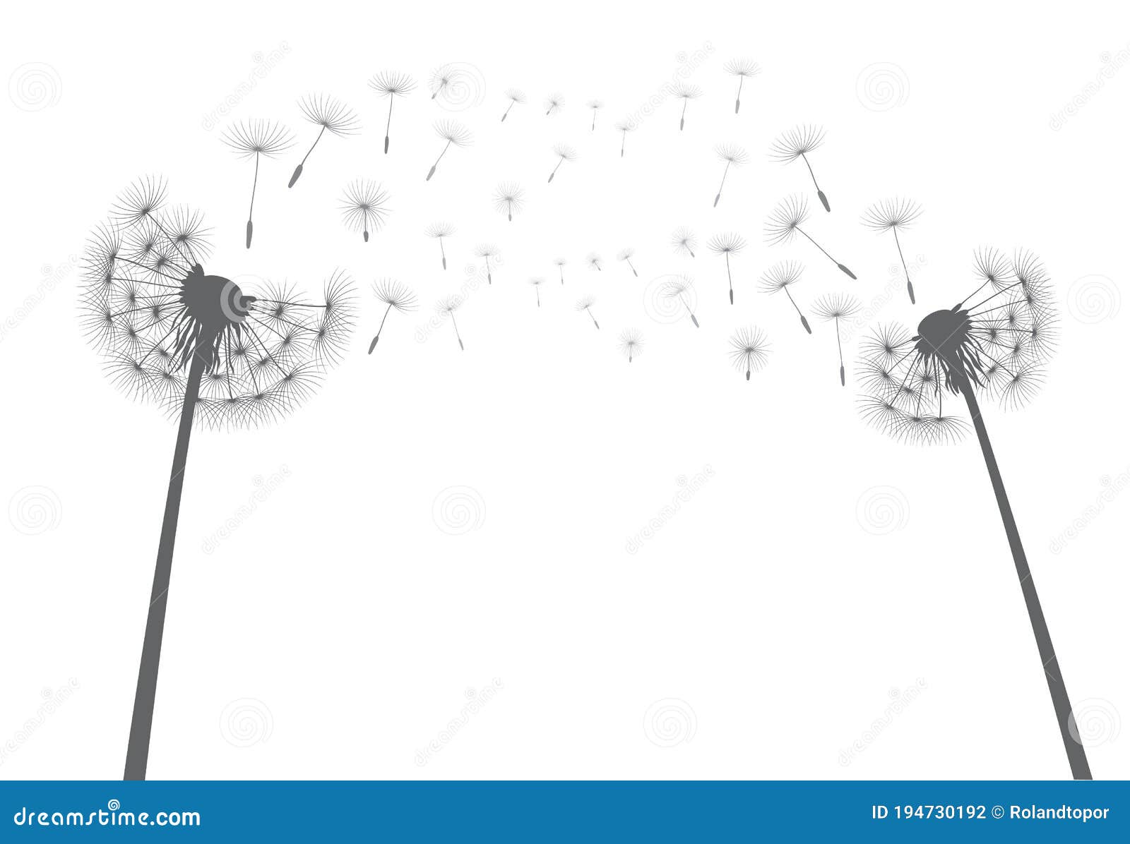 Shape of Vector Dandelion. Outline Illustration Stock Vector ...