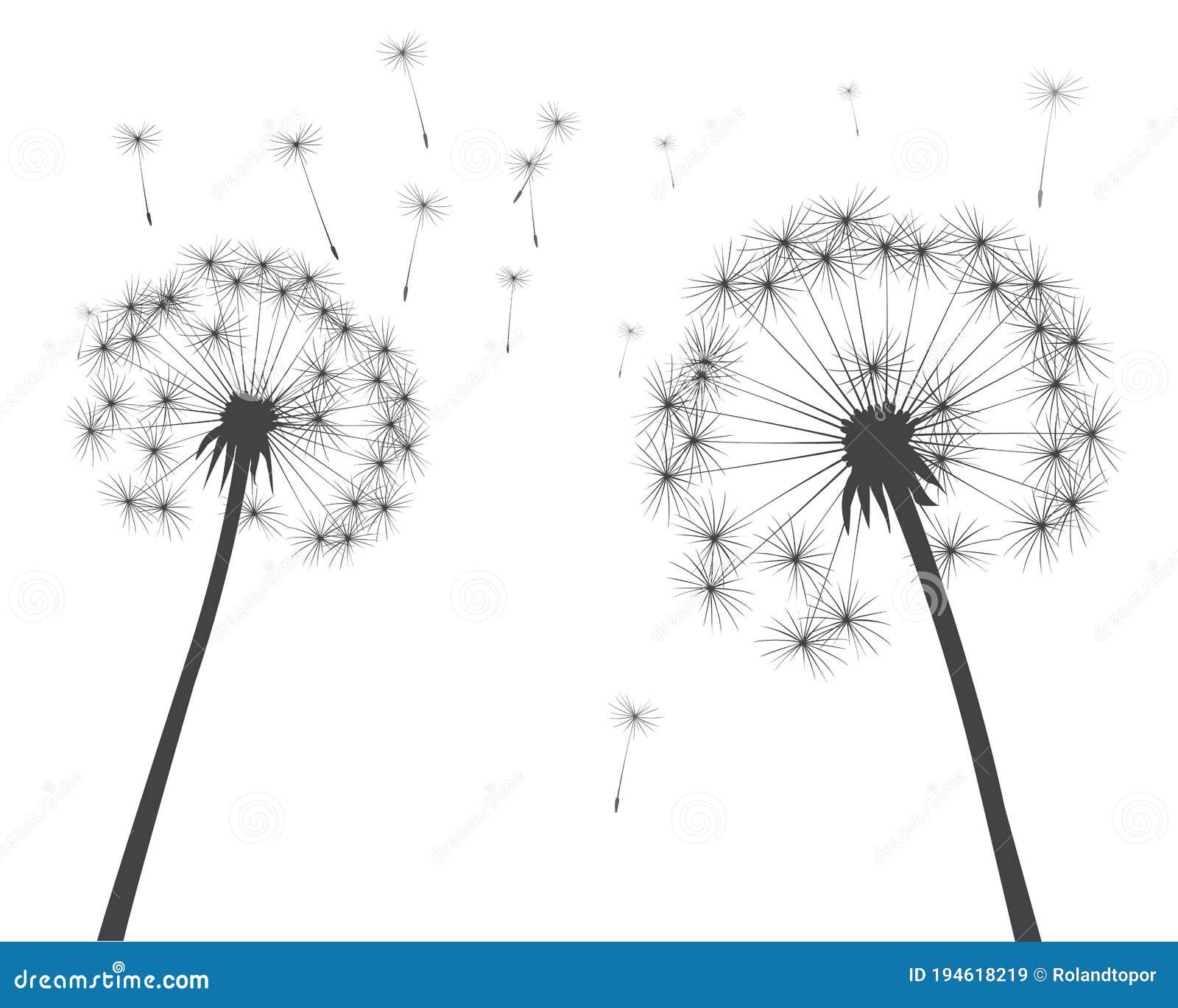 Shape of Vector Dandelion. Outline Illustration Stock Vector ...