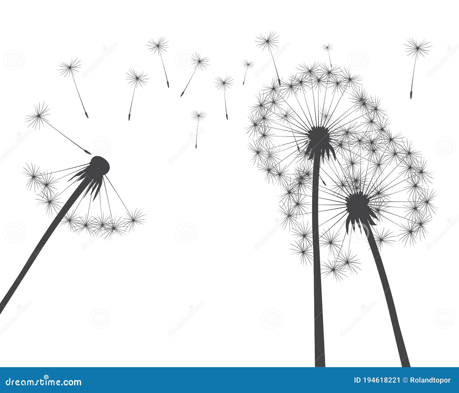 Shape of Vector Dandelion. Outline Illustration Stock Vector ...