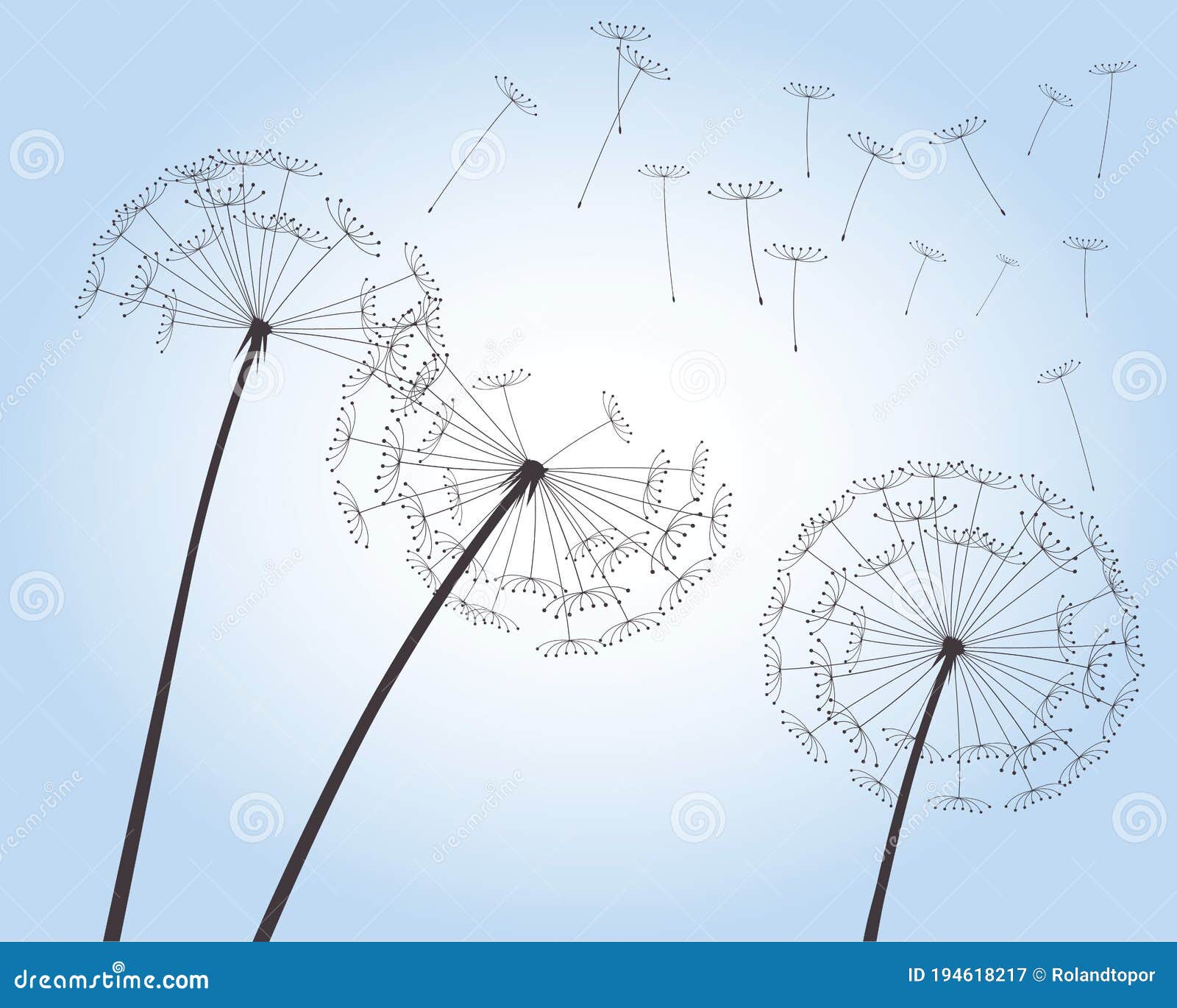Shape of Vector Dandelion. Outline Illustration Stock Vector ...