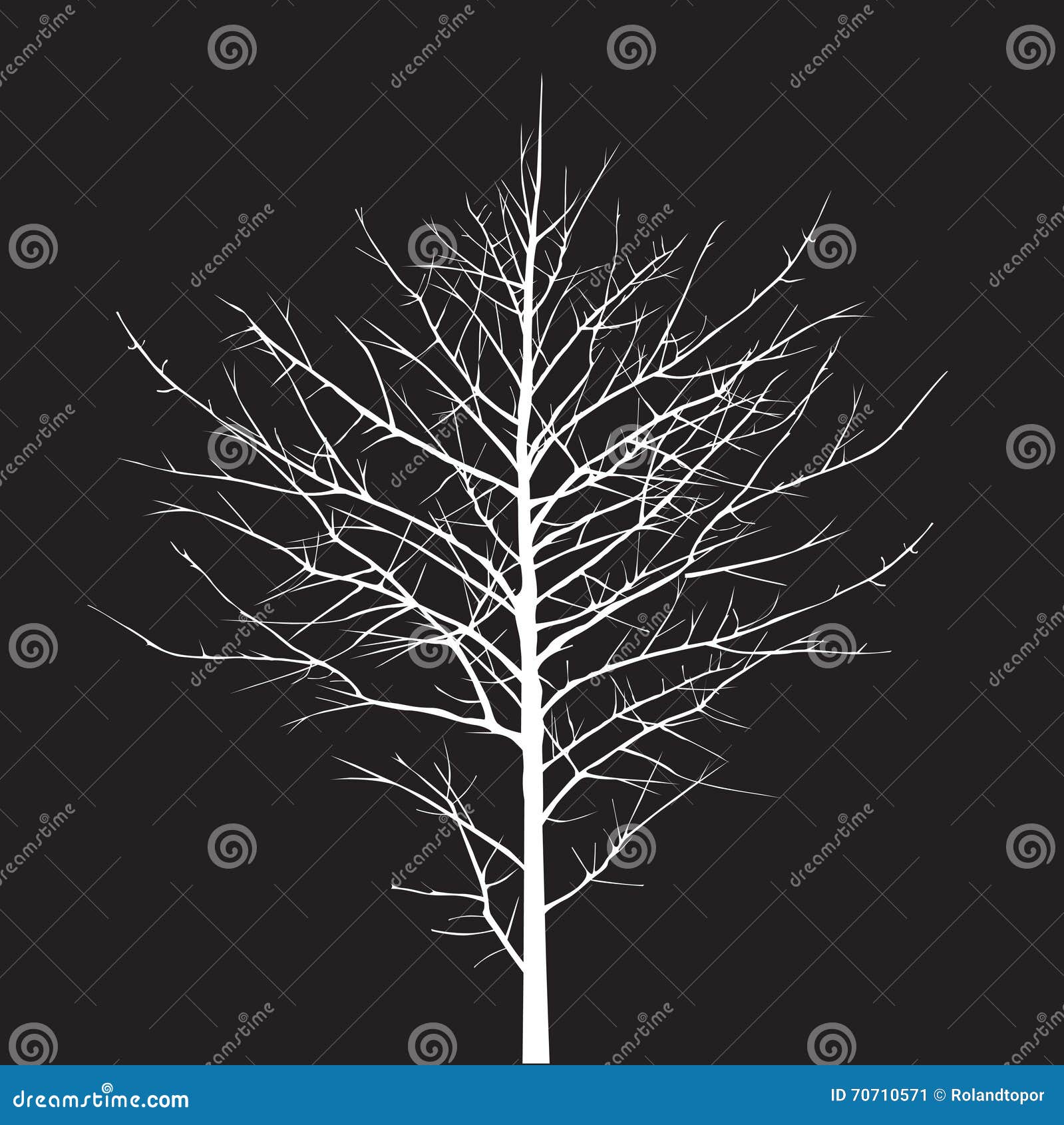 Shape of White Tree. Vector Illustration. Stock Illustration ...