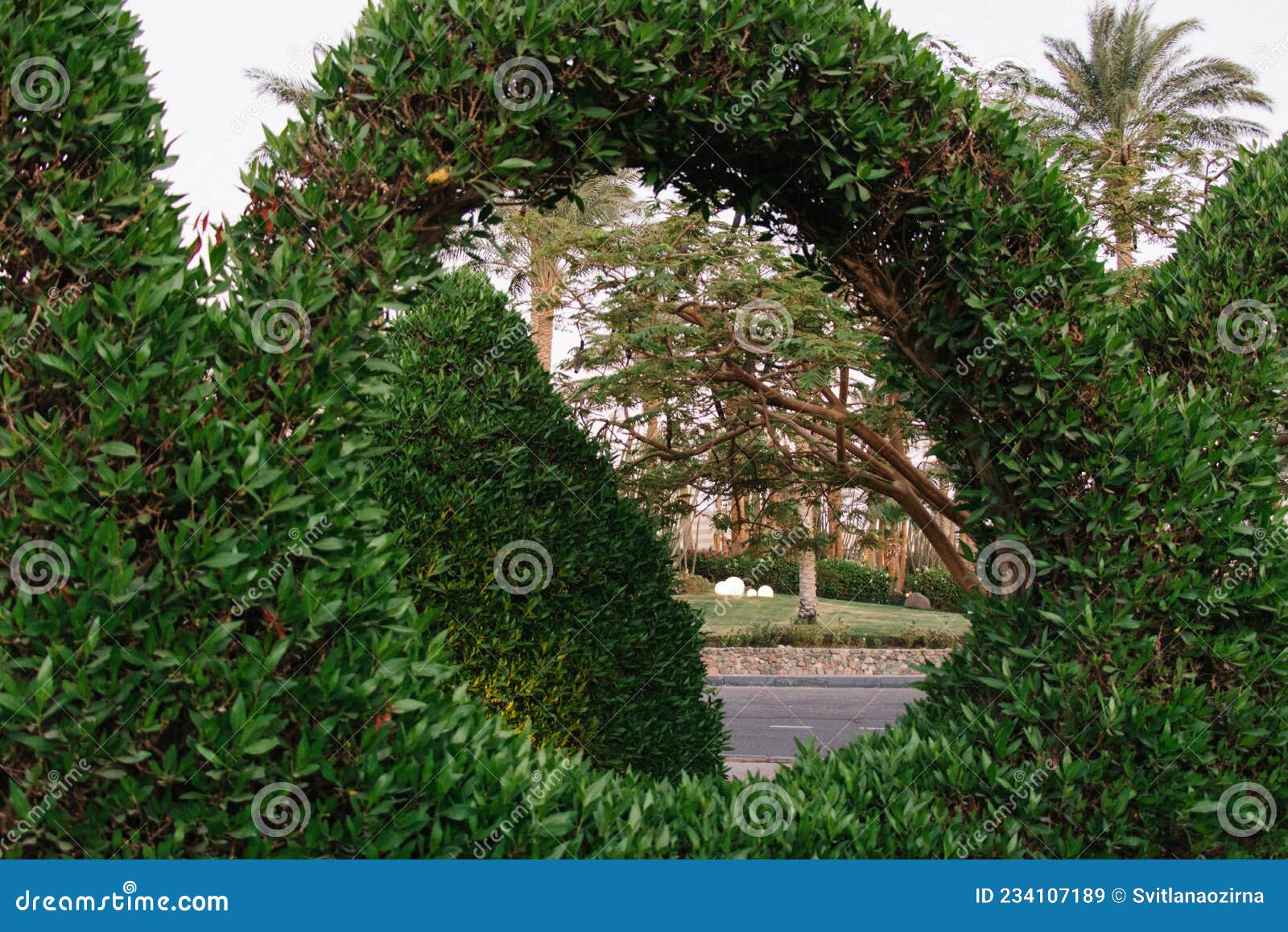Shaped Hedge of Bushes in the Shape of a Circle Stock Image - Image of ...