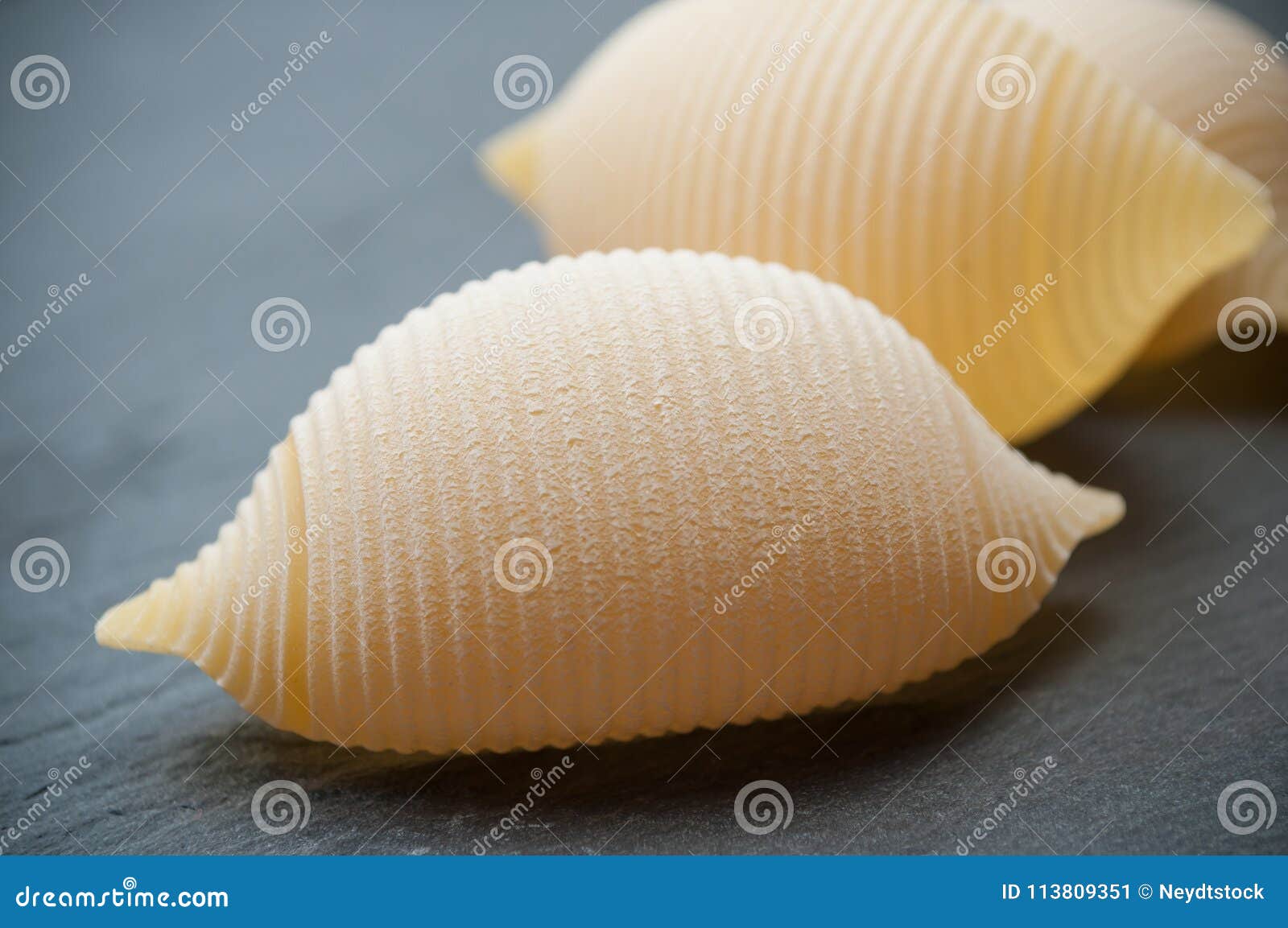 Shaped Seashell Pasta on Chalkboard Background Stock Image - Image of ...