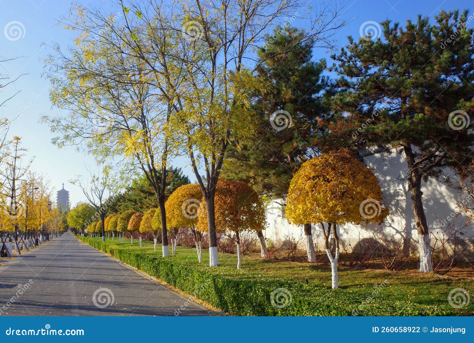 Tree Gardening and Road in Autumn Stock Photo - Image of pentrate, road ...