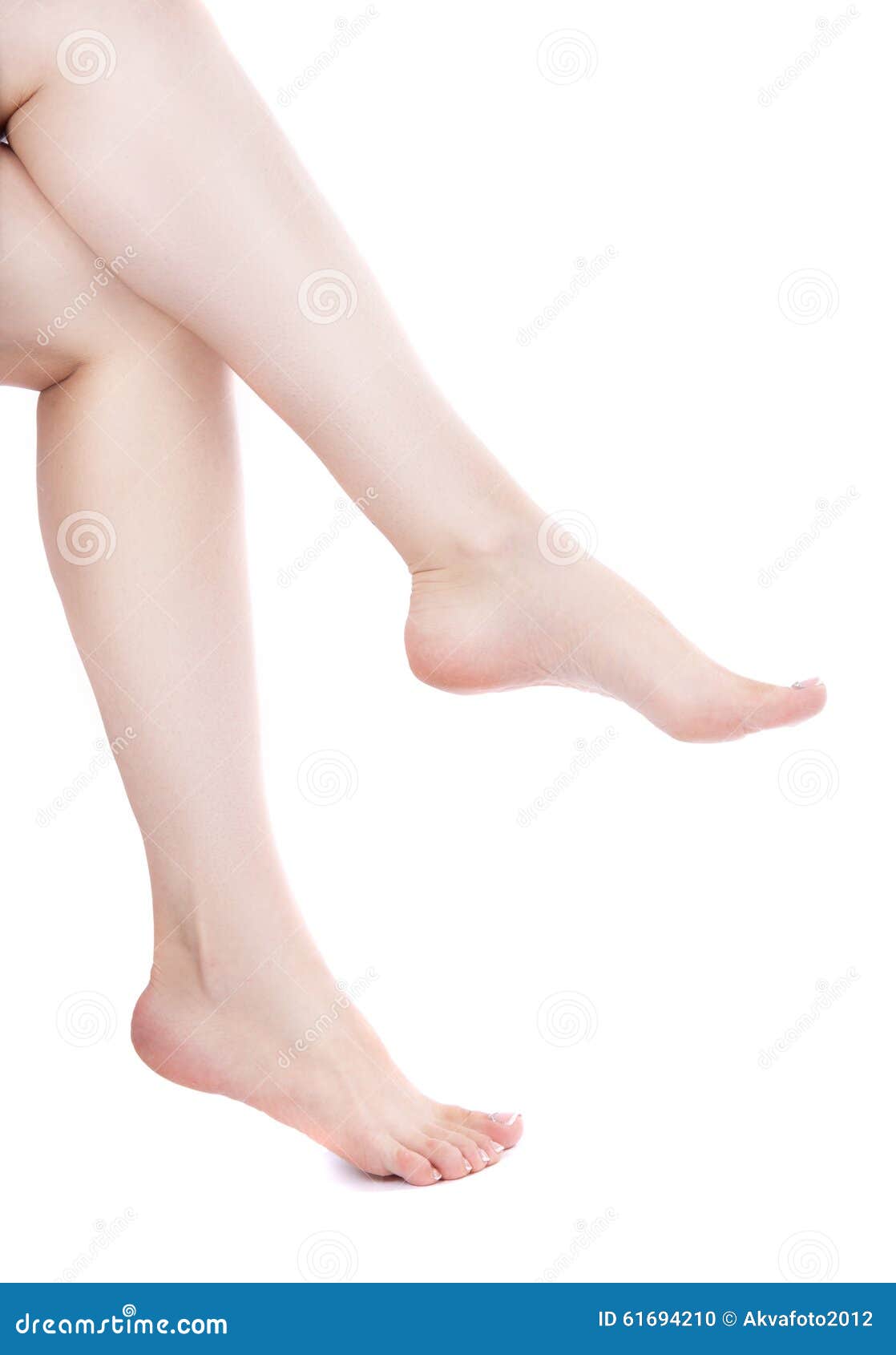 Shapely Female Legs. Isolation on a White Background Stock Photo ...