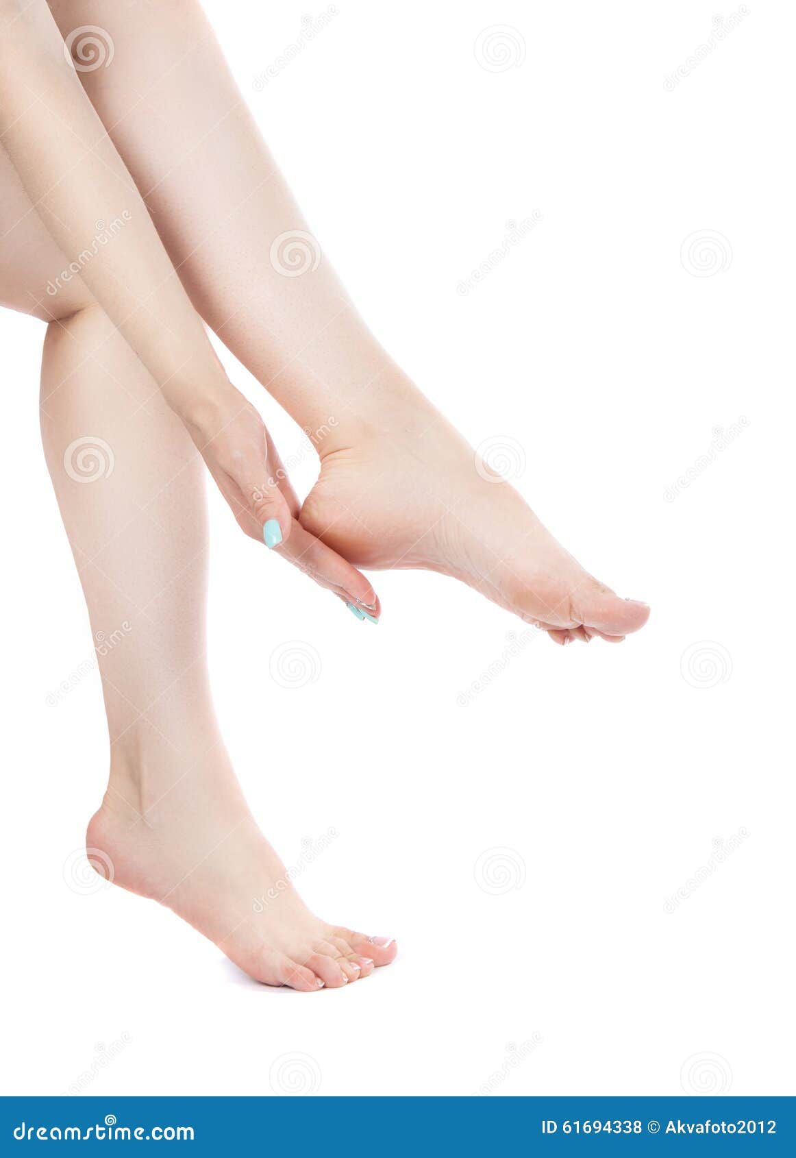 Shapely Female Legs. Isolation on a White Background Stock Photo ...