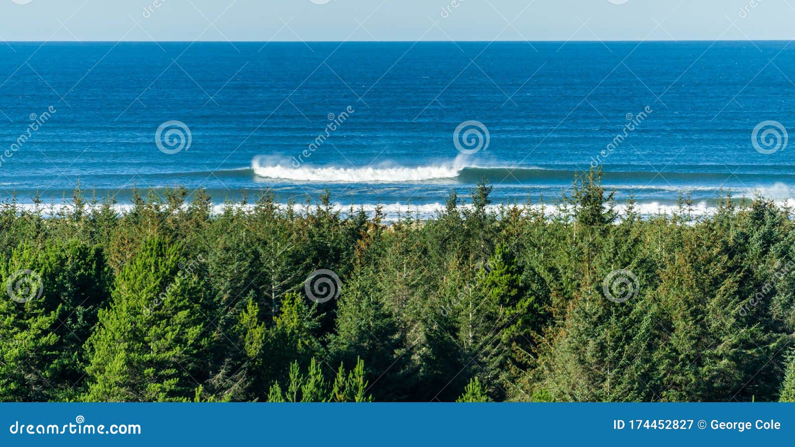 Shapely Long Beach Waves stock image. Image of curl - 174452827