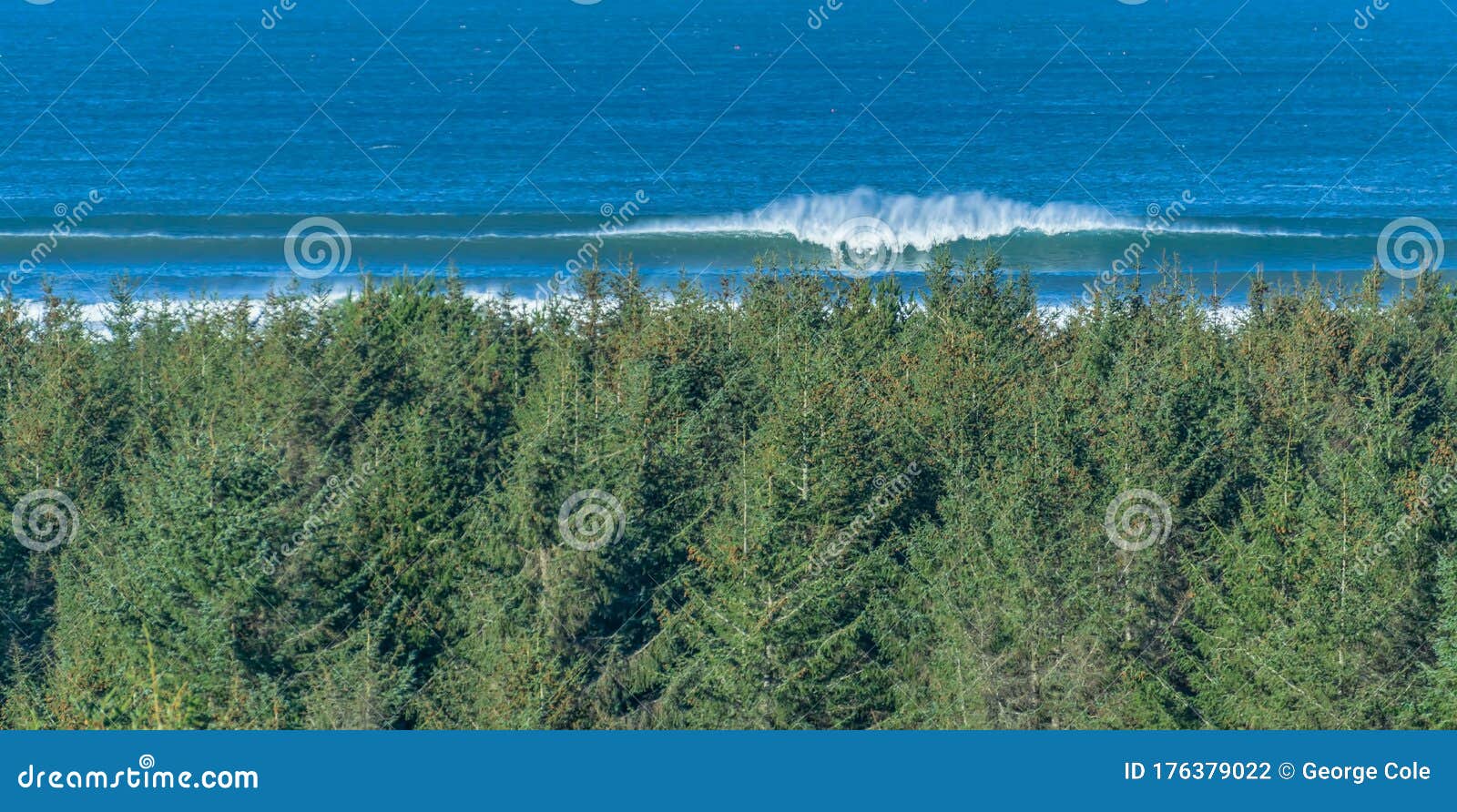 Shapely Long Beach Waves 4 stock photo. Image of long - 176379022