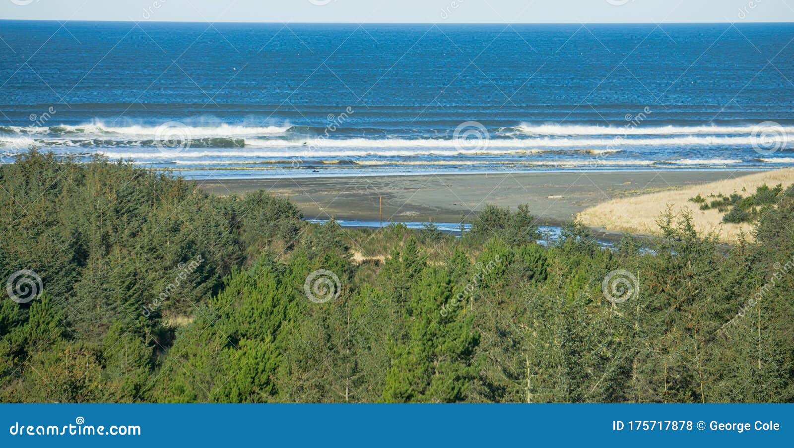 Shapely Long Beach Waves 6 stock photo. Image of northwest - 175717878