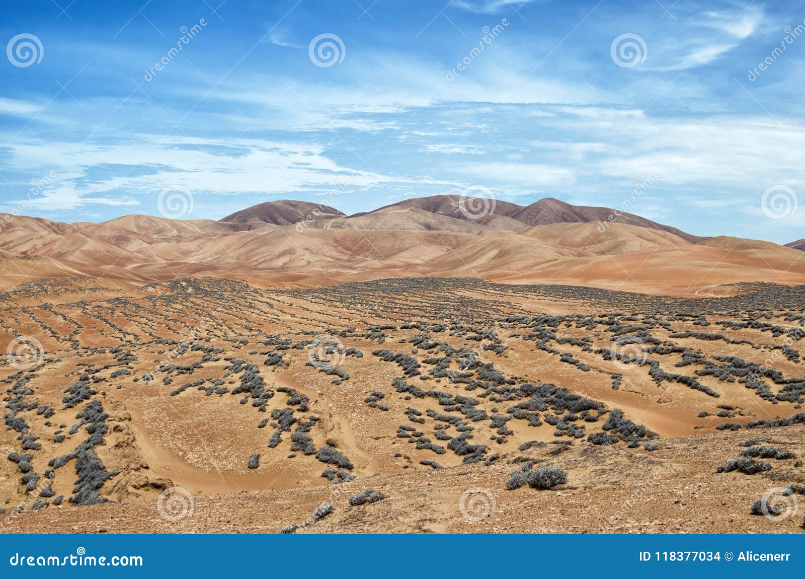 Shapes and Colors of the Desert Stock Photo - Image of africa, nature ...