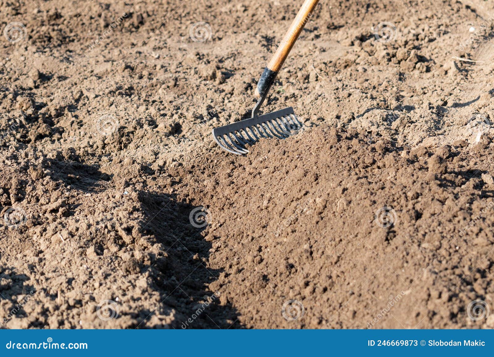 Shaping Soil for Planting with Rake in Spring Stock Image - Image of ...