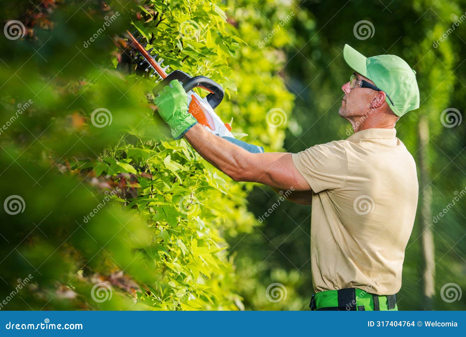Shaping Tree Using a Shrub Trimmer Stock Photo - Image of tree, natural ...