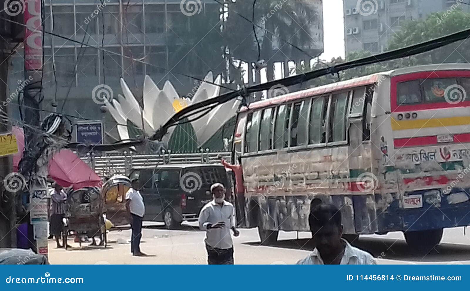 Shapla cottor editorial stock image. Image of cottor - 114456814