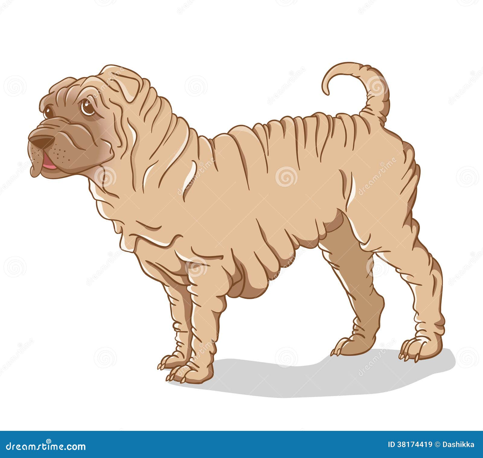 Shar Pei Purebred Dog Cartoon Illustration | CartoonDealer.com #214141074