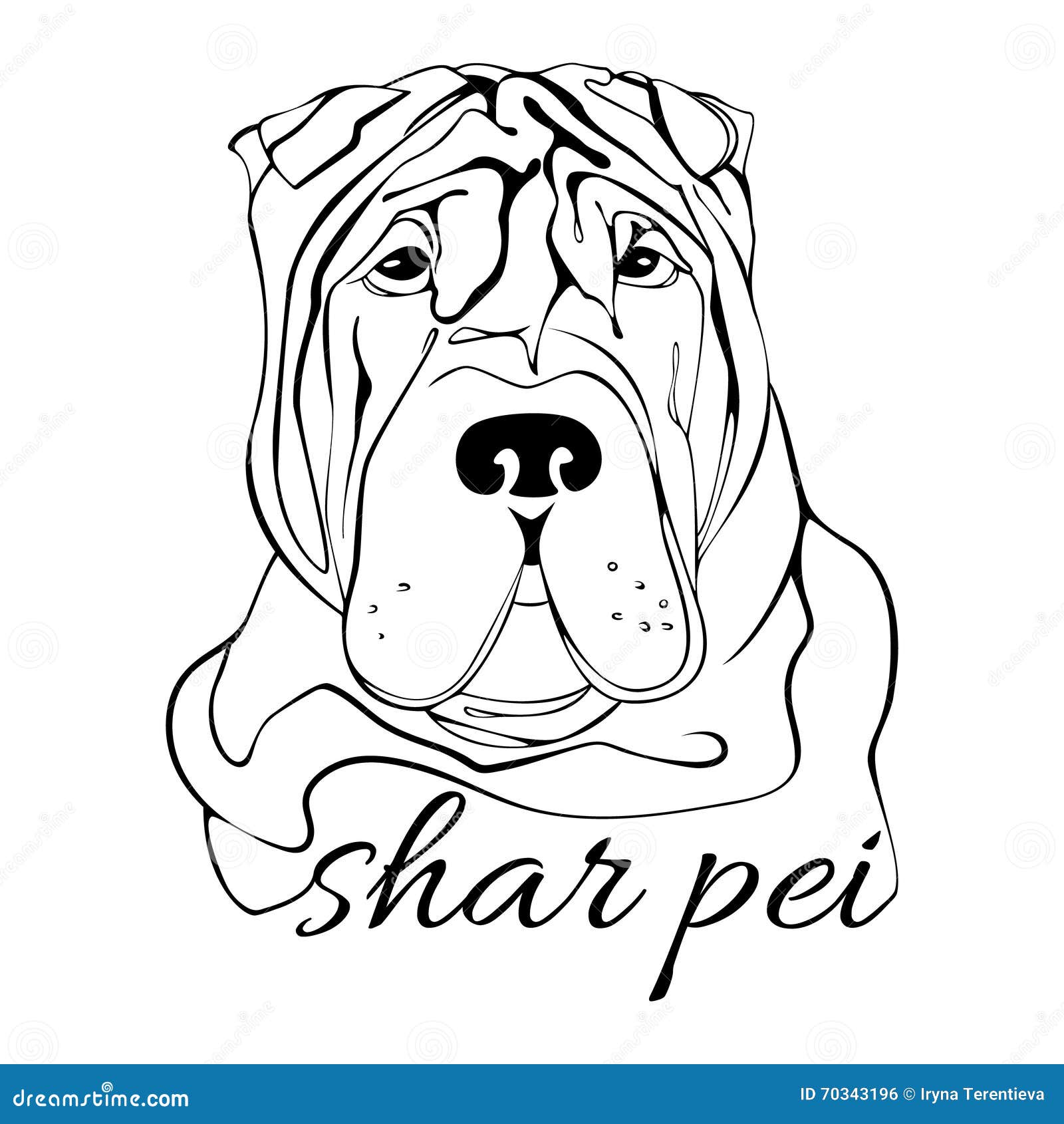 Shar pei dog, Shar pei, Dog drawing