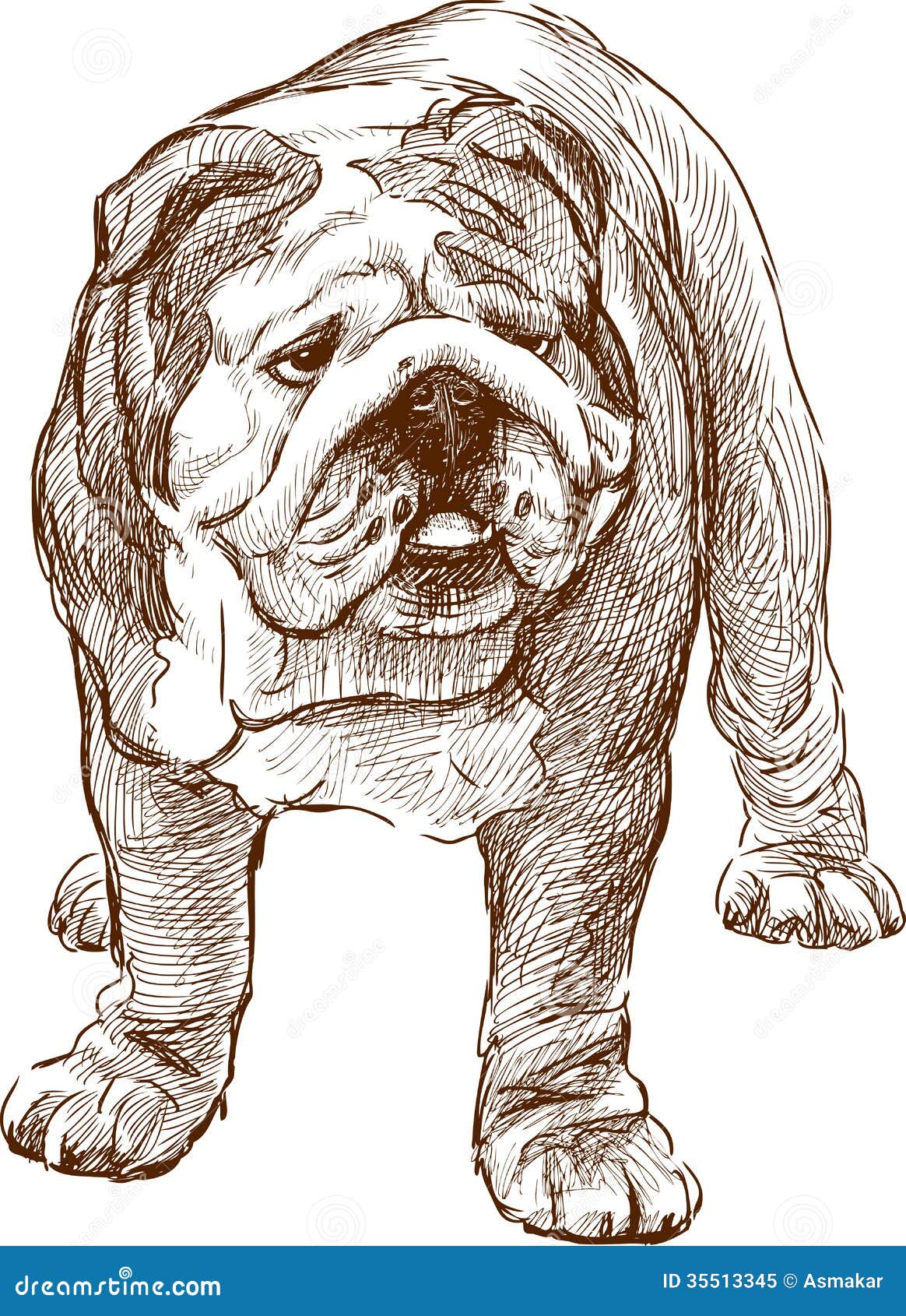 Shar-Pei editorial image. Illustration of protection - 35513345