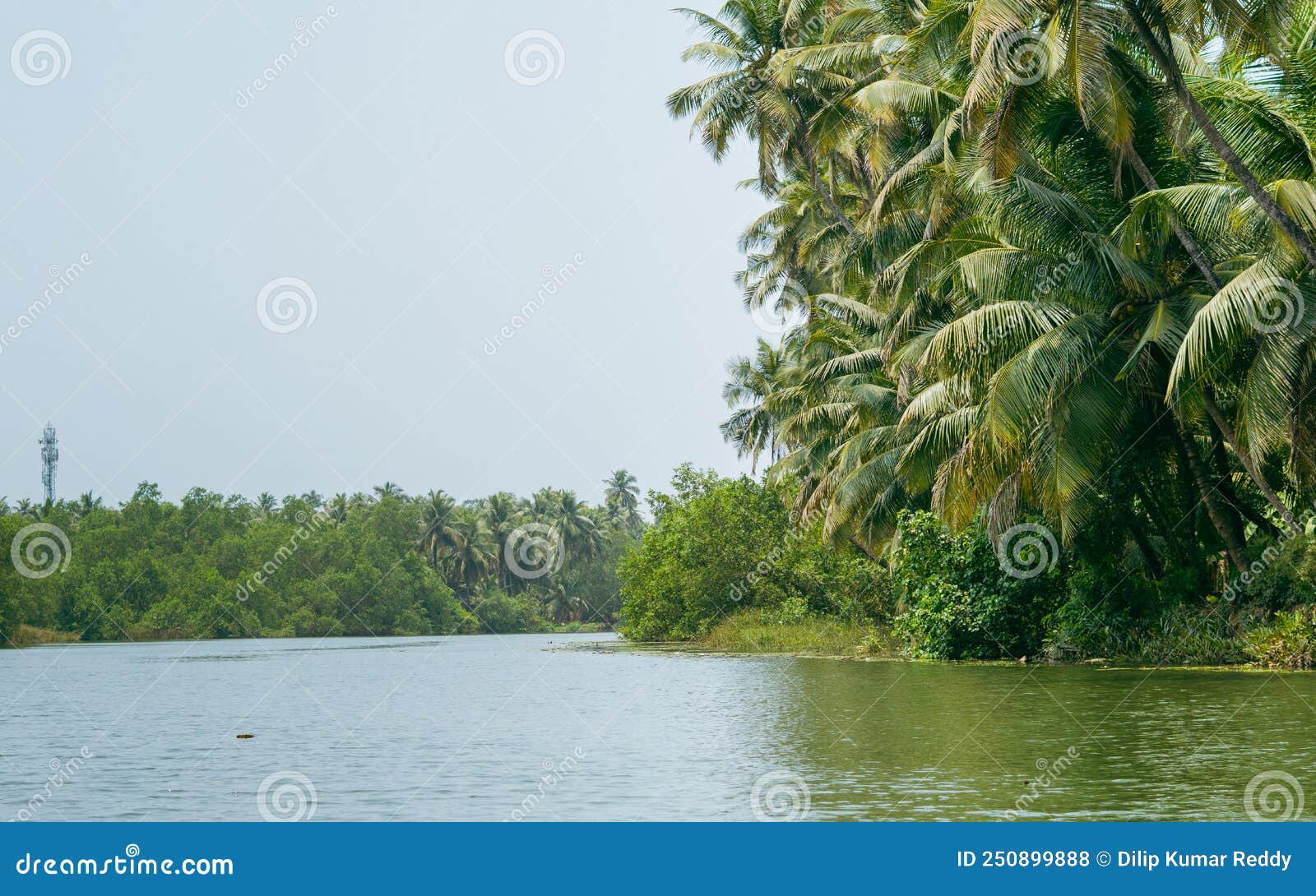 Sharavati River on a Clear Sky Stock Photo - Image of secluded ...