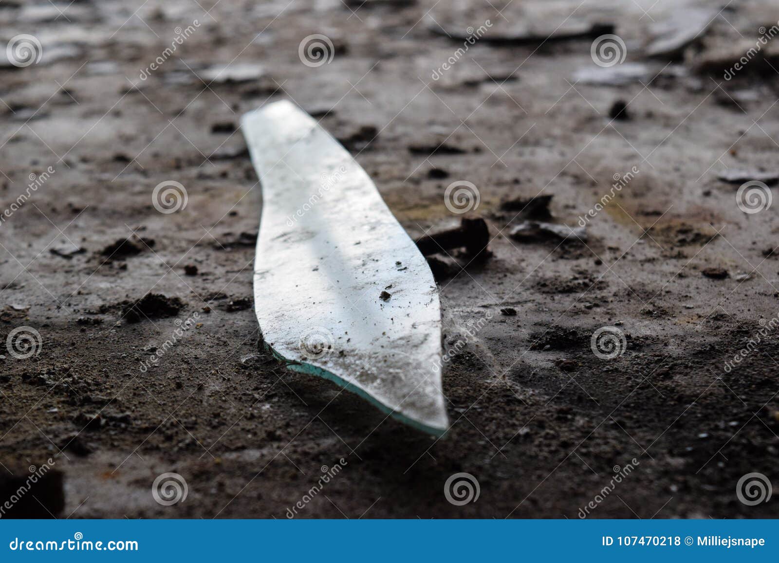 Shard of broken glass stock photo. Image of surrounded - 107470218