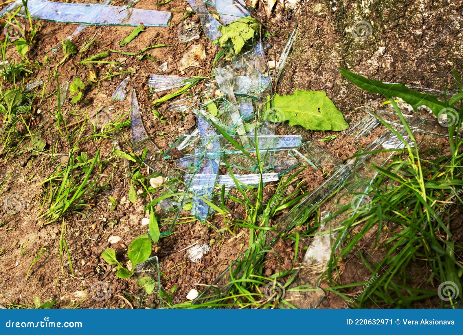 Shards of Broken Glass in Green Grass Stock Image - Image of shattered ...