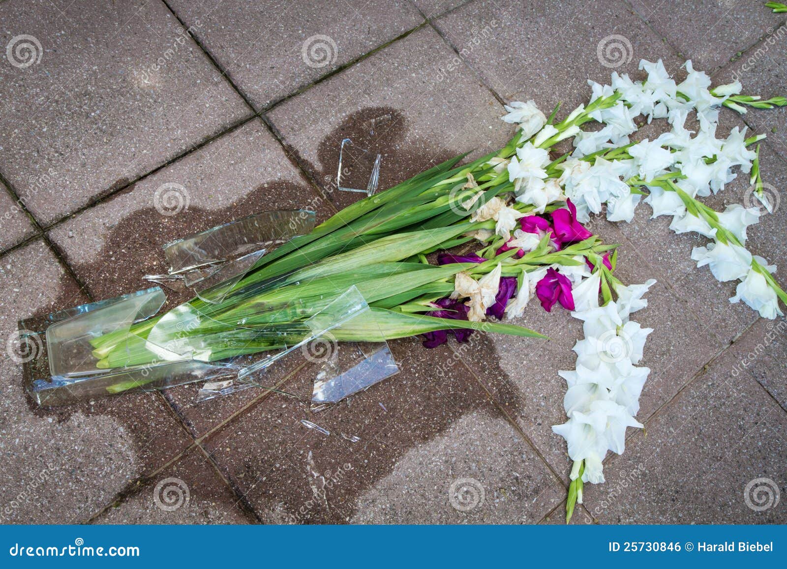 Shards of a broken vase stock photo. Image of shards - 25730846