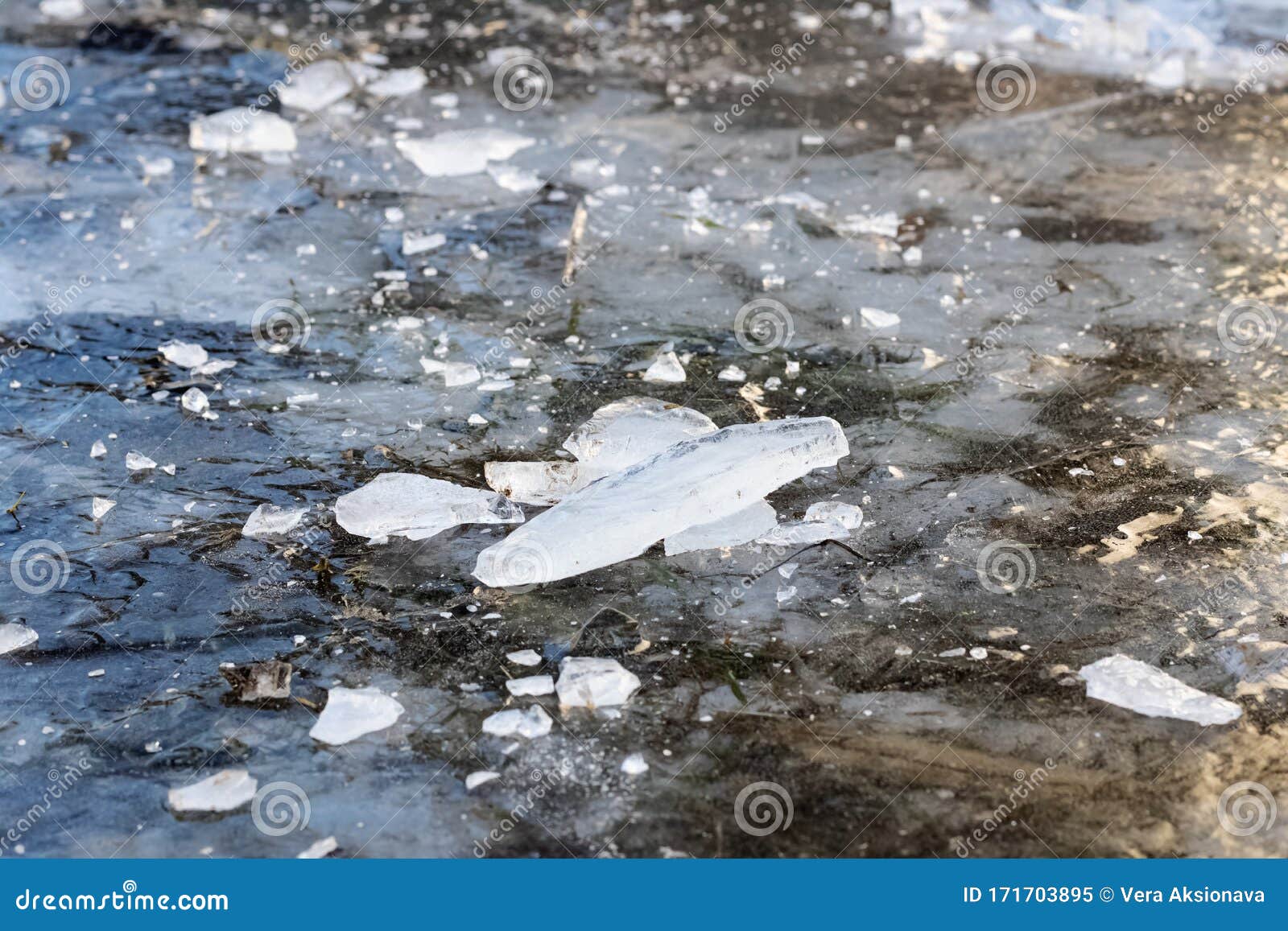 Shards of Ice on a Frozen Ground Stock Image - Image of unique, grunge ...