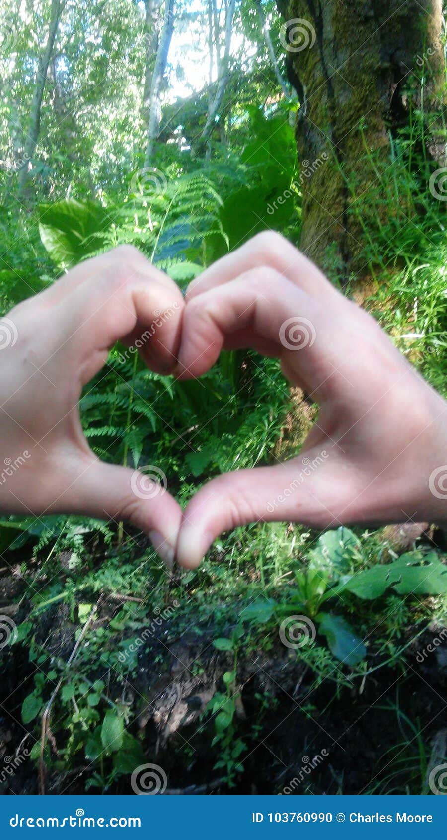 Share Love stock photo. Image of share, coming, together - 103760990