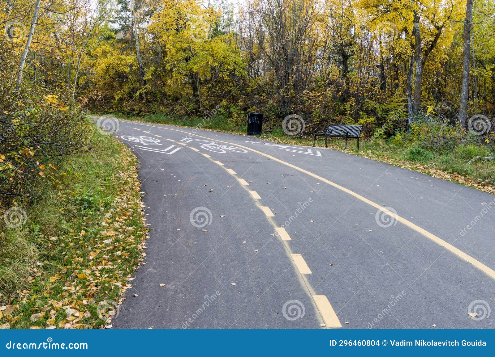 Path For Cyclists With An Asphalt Surface. Galvanized Iron Railing Over ...
