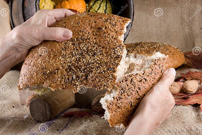 Sharing bread stock photo. Image of gourd, meal, ingredients - 3366886