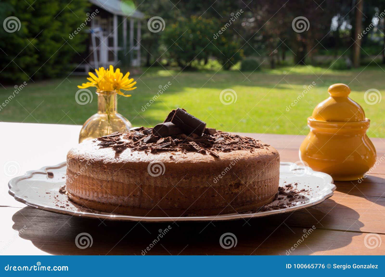 Sharing Chocolate Cake in the Park Stock Photo - Image of pastry, dark ...