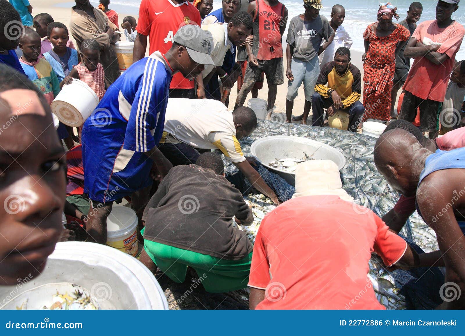 Sharing Fish after a Communal Fishing in Africa Editorial Photo - Image ...