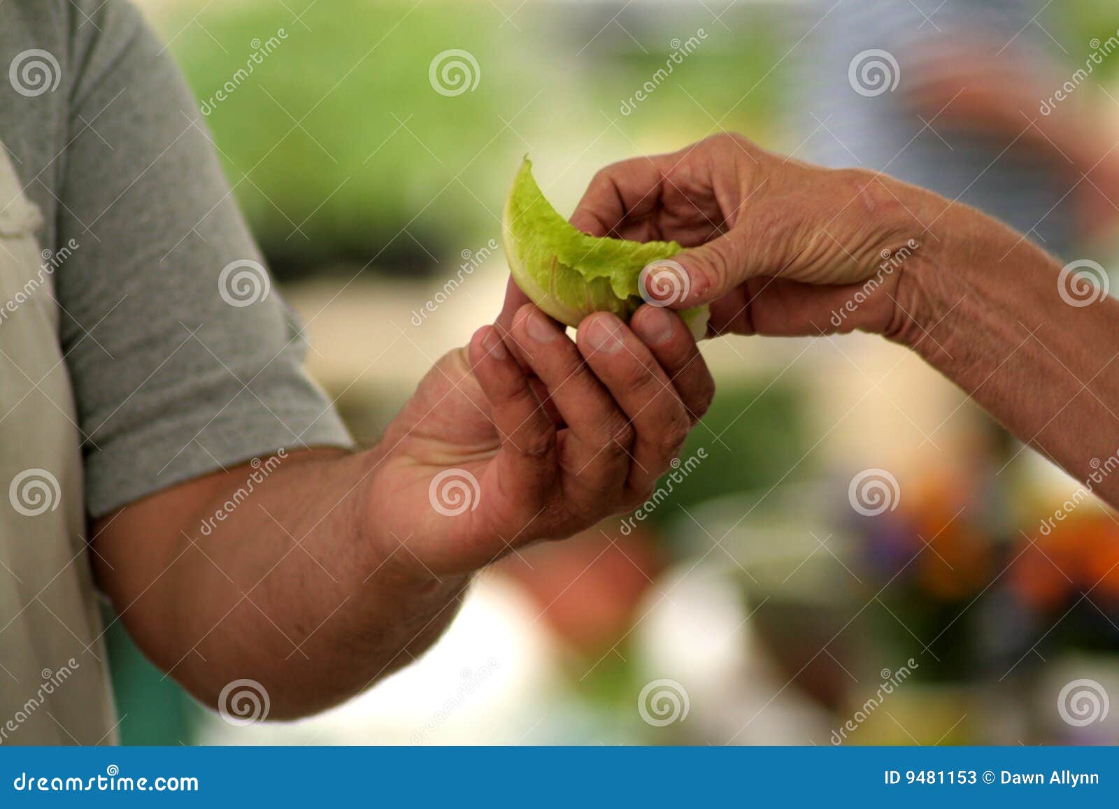 Sharing food stock image. Image of giving, give, farmers - 9481153