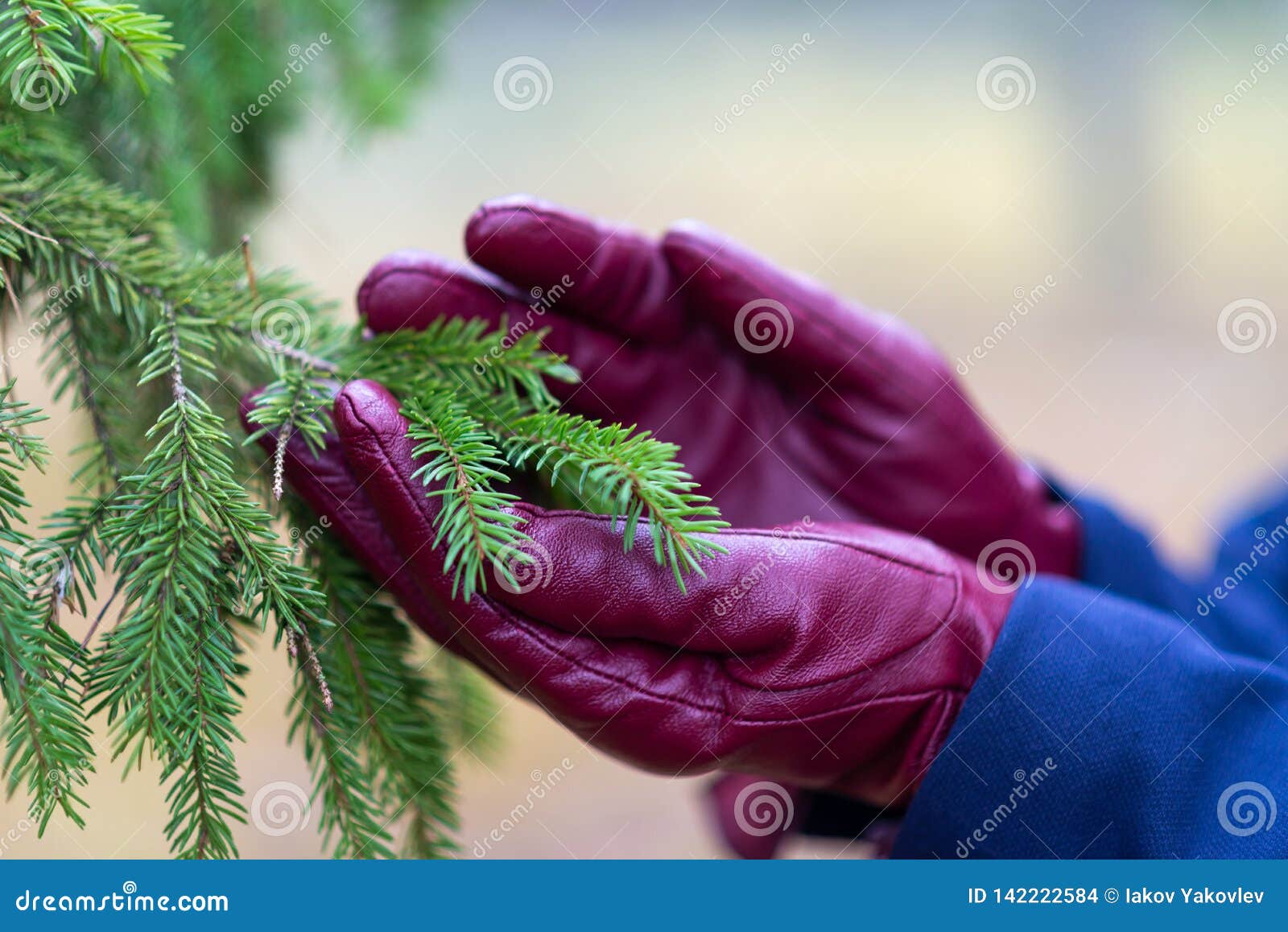 Sharing Hope. Hugging Hands Plant in the Forest Stock Photo - Image of ...