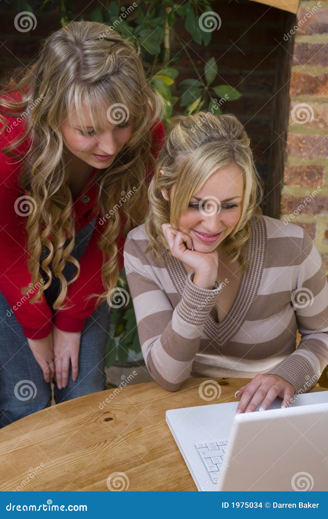 Sharing a Laptop stock photo. Image of shopping, technology - 1975034