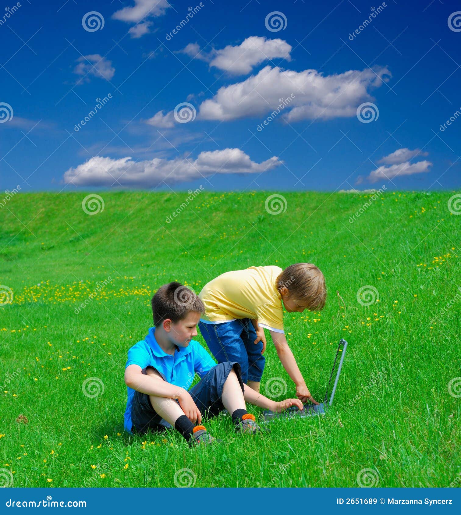 Sharing a laptop stock image. Image of meadow, youngster - 2651689