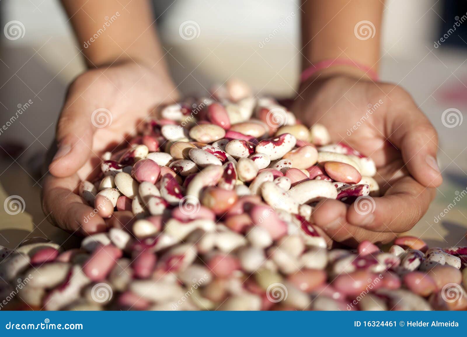 Sharing some food stock image. Image of closeup, natural - 16324461