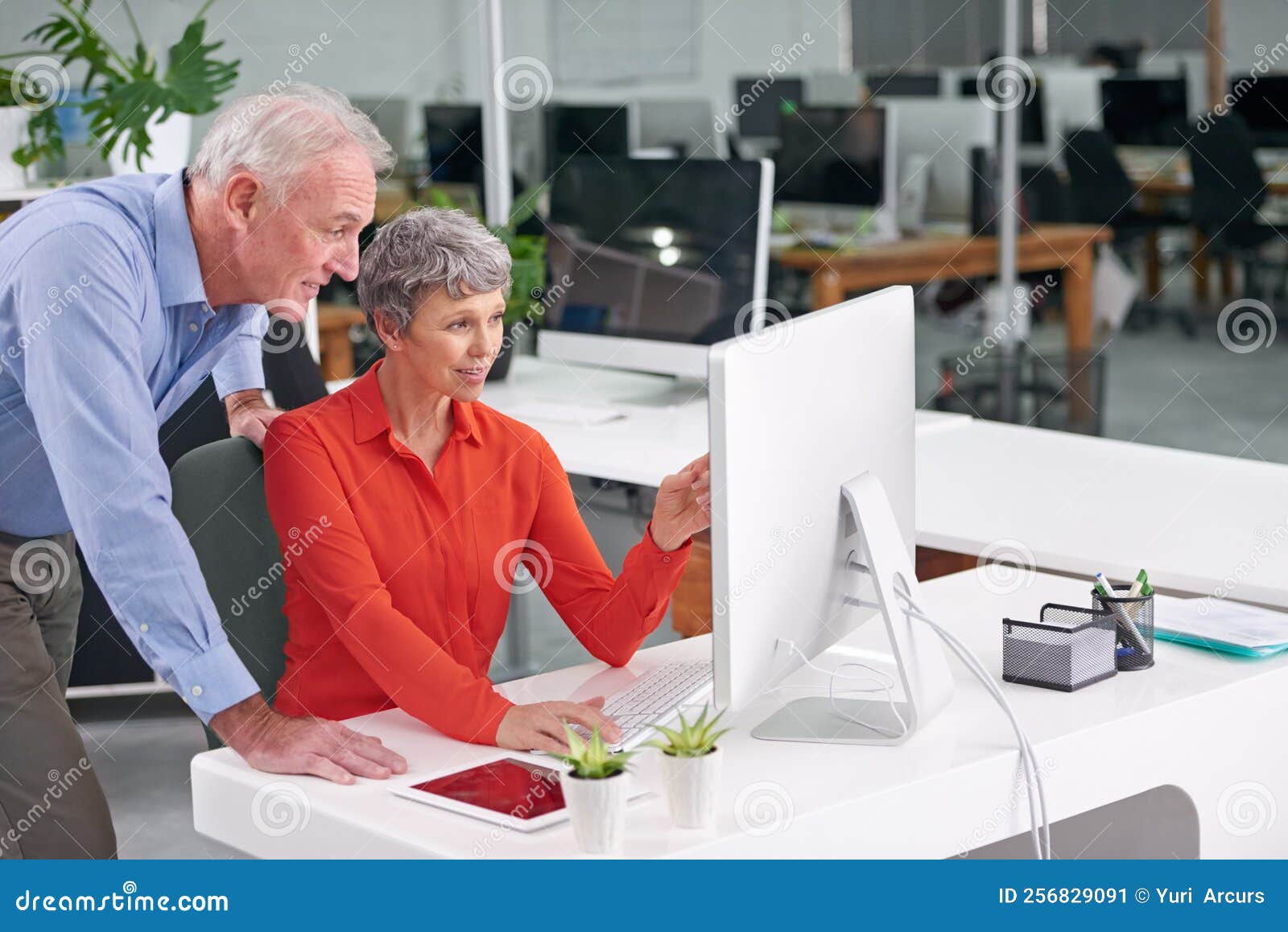 Sharing Some of Her Insights. Two Mature Business Colleagues Discussing ...