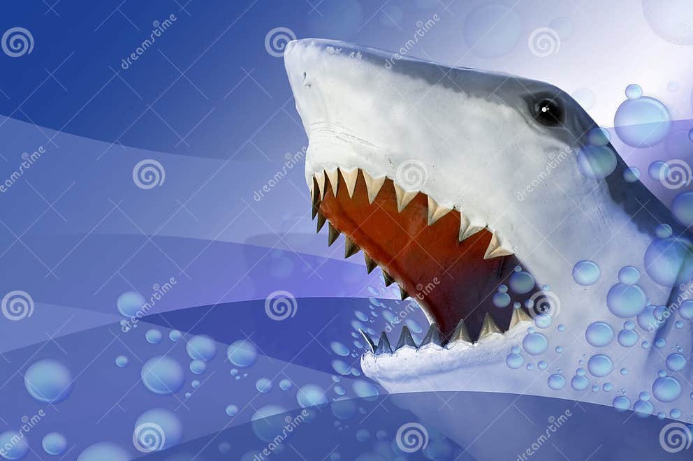 Shark stock photo. Image of bubbles, water, shark, jumping - 7283398