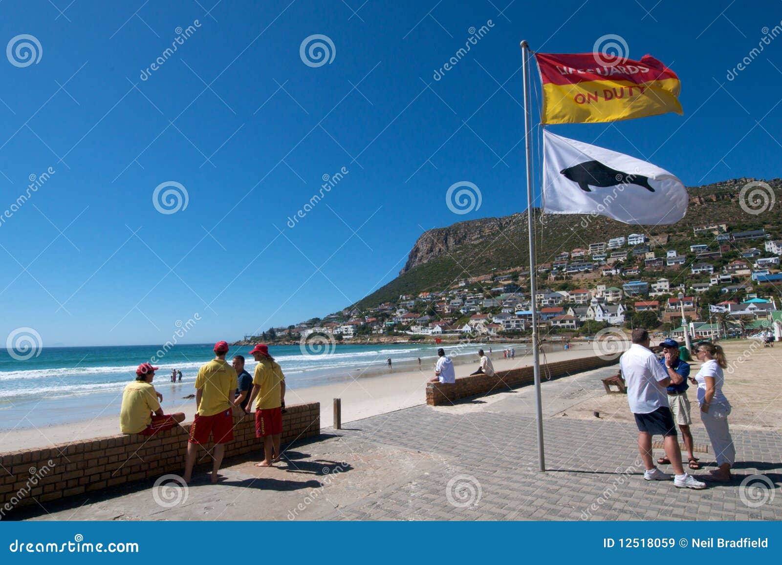 Shark attack Fish Hoek editorial stock image. Image of hoek - 12518059