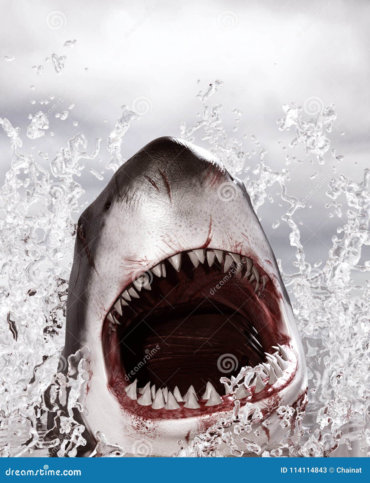 Shark Attack Background