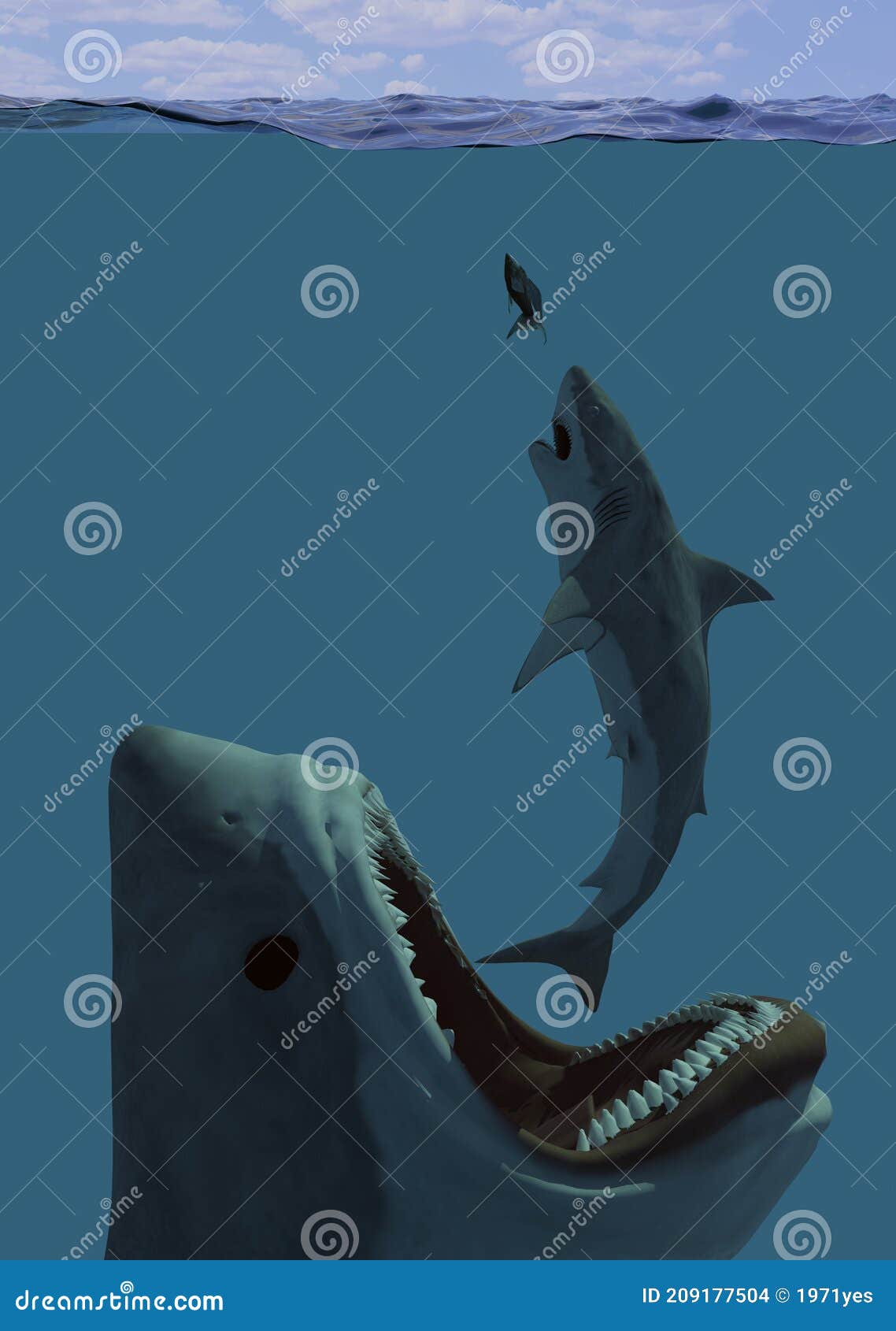 Basking Shark Isolated On White Background. Cartoon Character Of Ocean ...