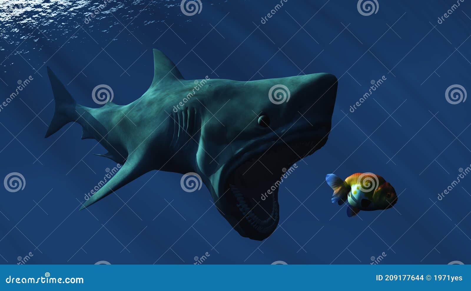 Basking Shark Isolated On White Background. Cartoon Character Of Ocean ...
