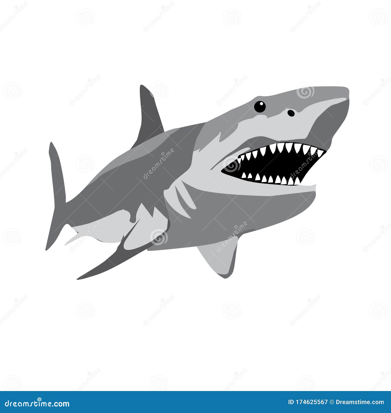 Shark Cartoon Vector Illustration | CartoonDealer.com #174625567