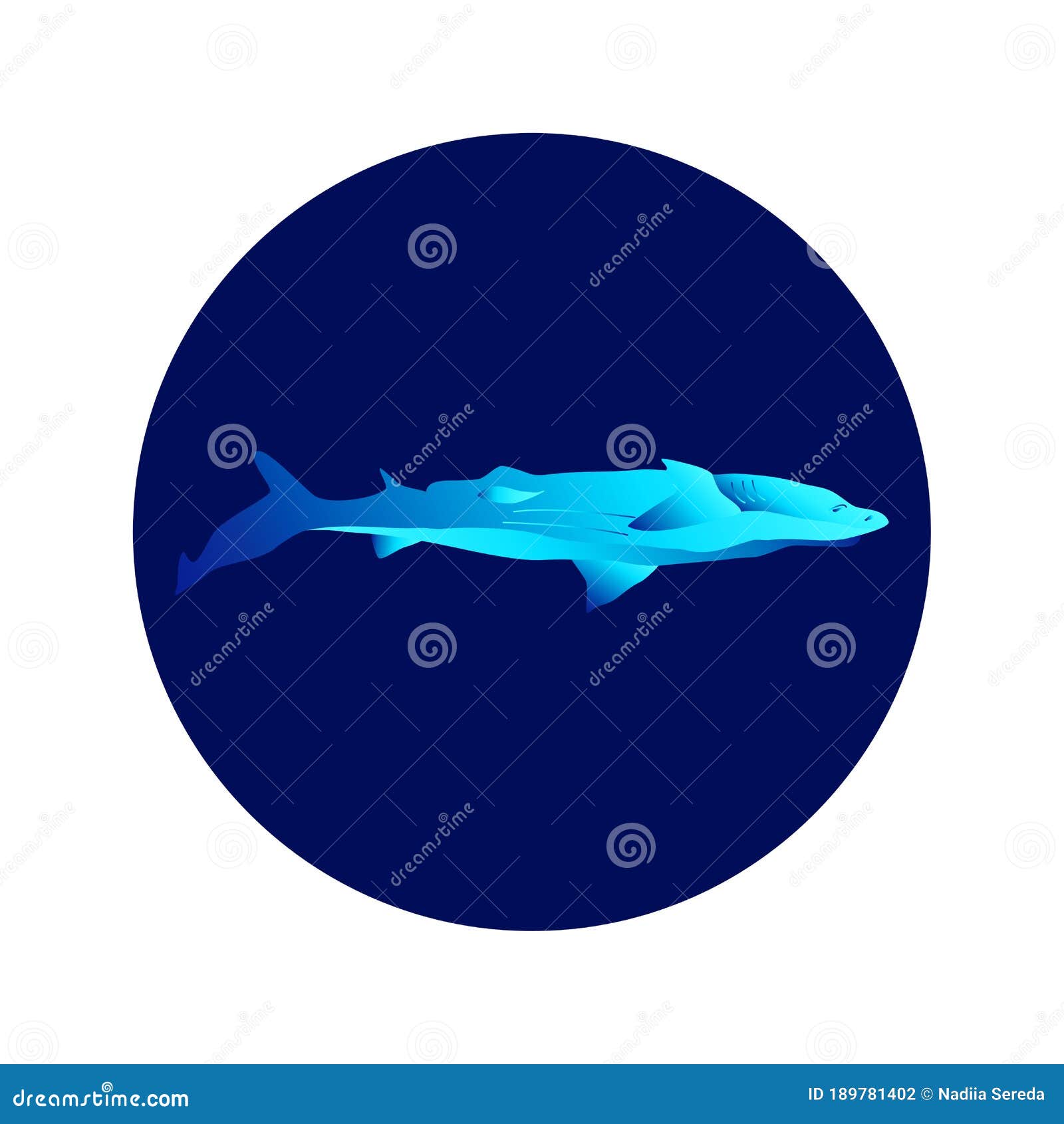Shark Circle Icon stock vector. Illustration of dangerous - 189781402