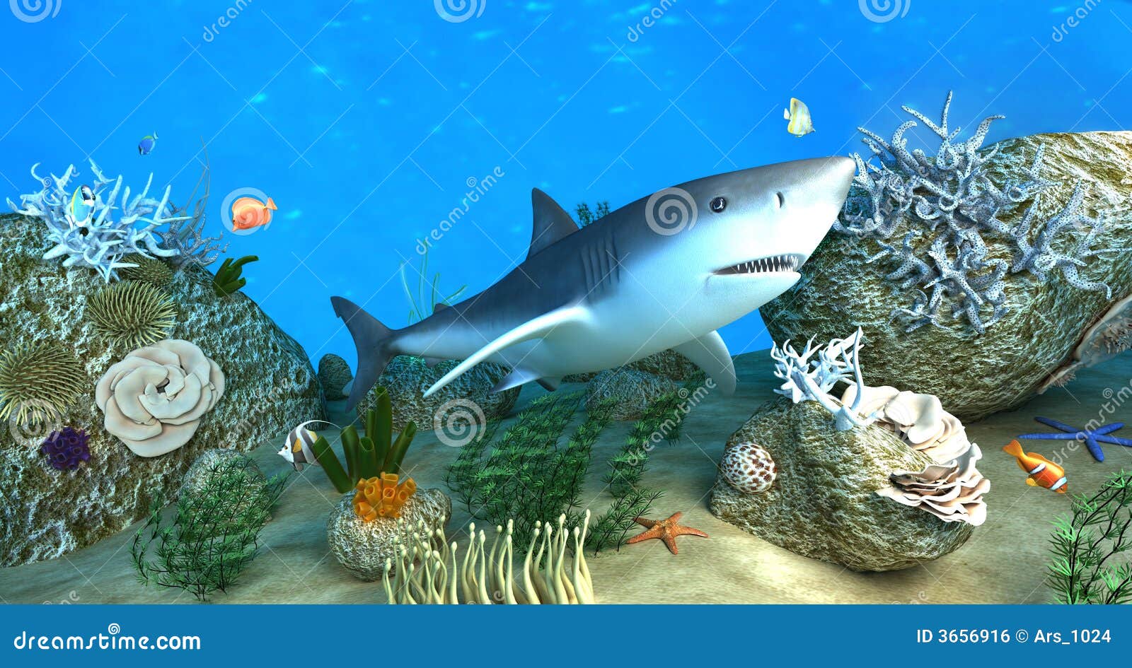 Shark among coral reefs stock illustration. Illustration of underwater ...