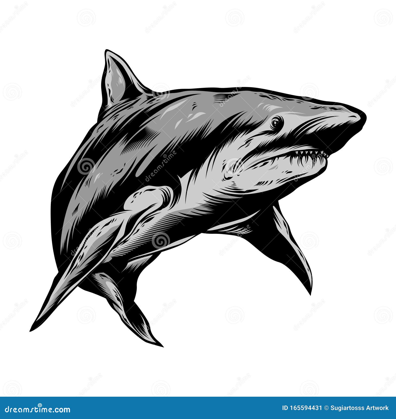 Shark design illustration stock vector. Illustration of funny - 165594431
