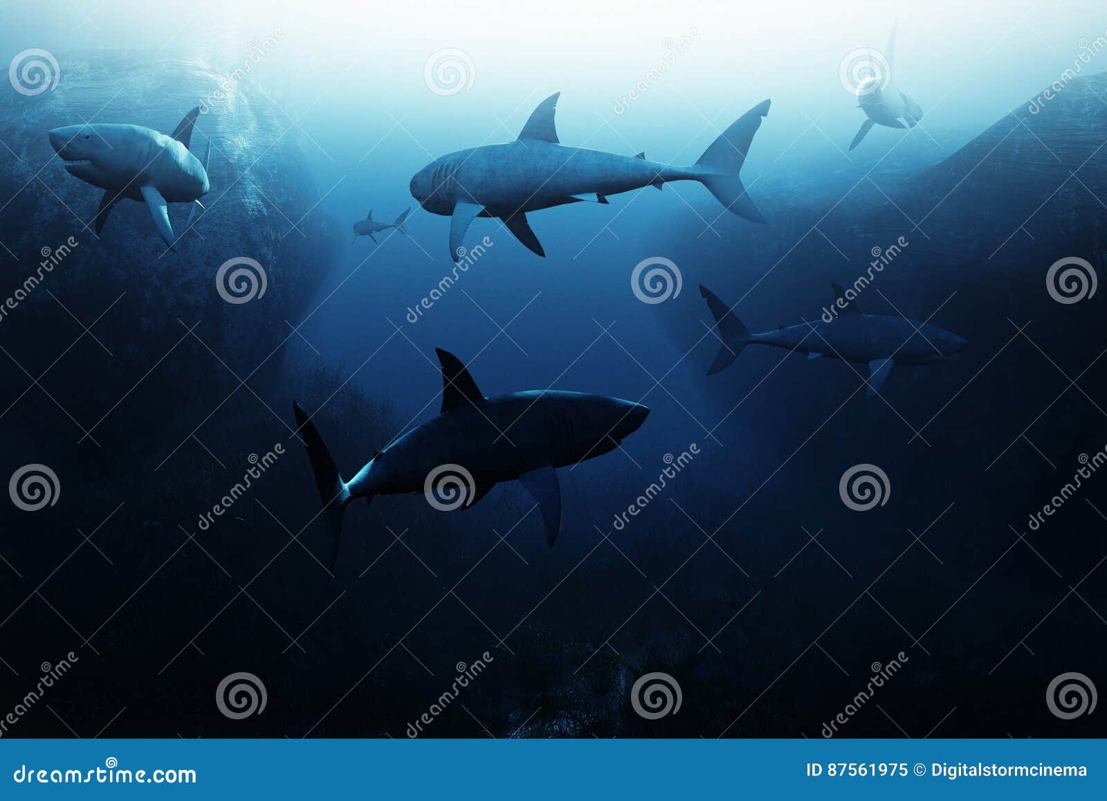 Shark Encounter,Large School of Sharks Patrolling Underwater. Stock ...