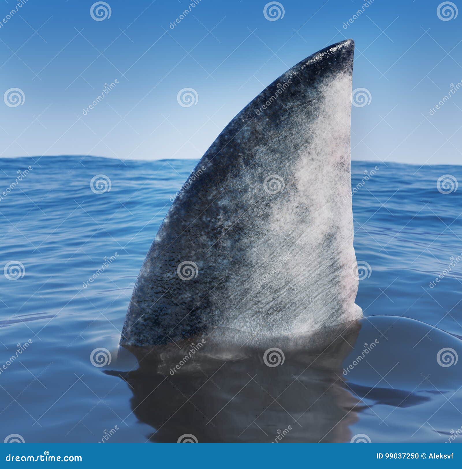 Shark fin stock illustration. Illustration of animal - 99037250