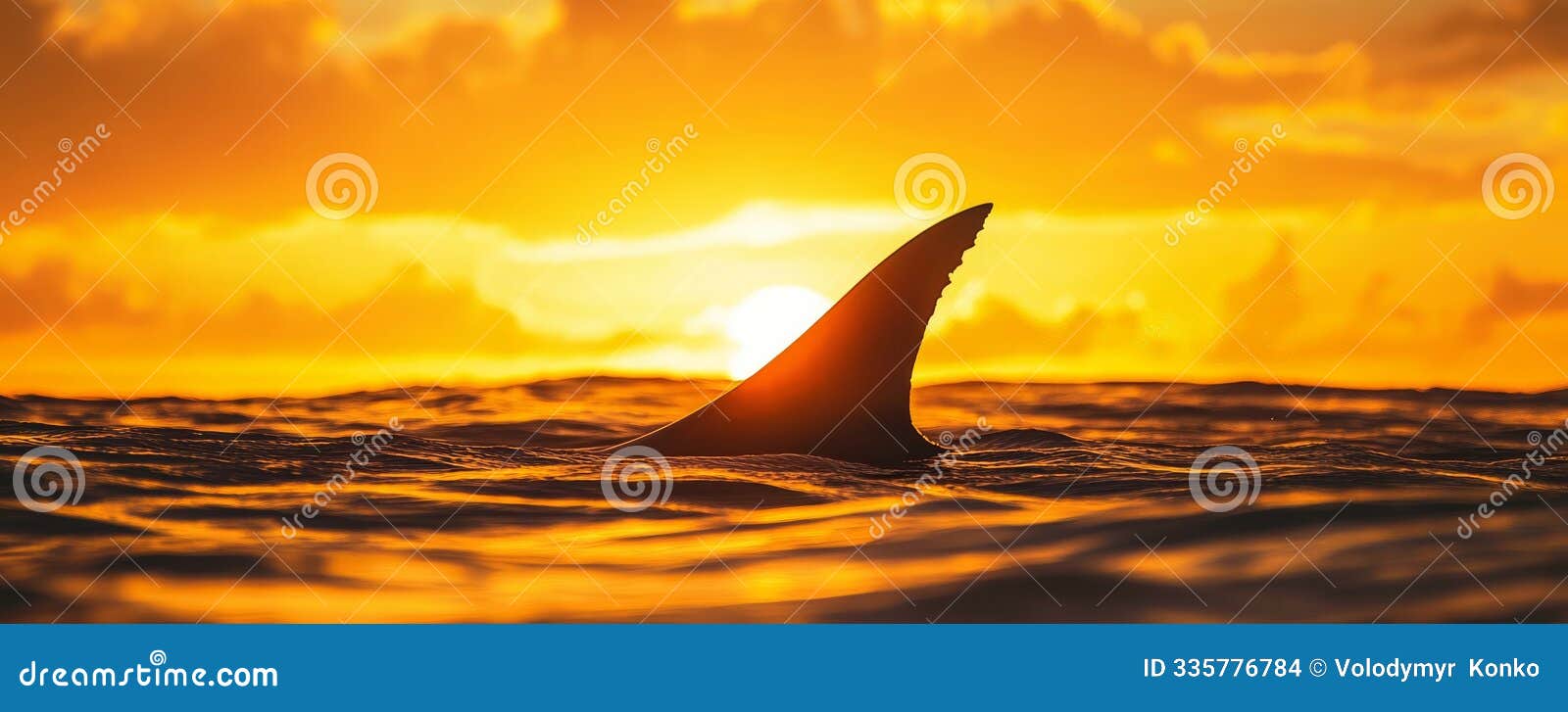 Shark Fin Silhouette at Sunset on Ocean Waves, Dramatic Nature Scene ...